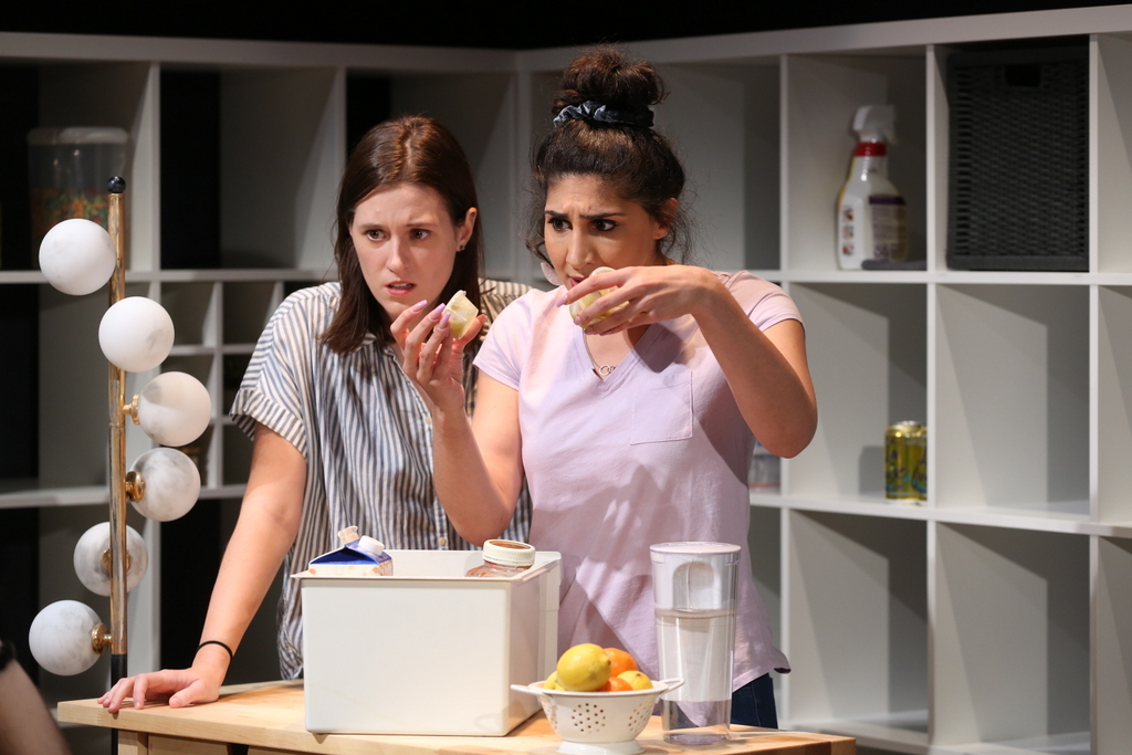 ‘The Commons’ by Lily Akerman at 59E59 Theaters | CAROLE DI TOSTI