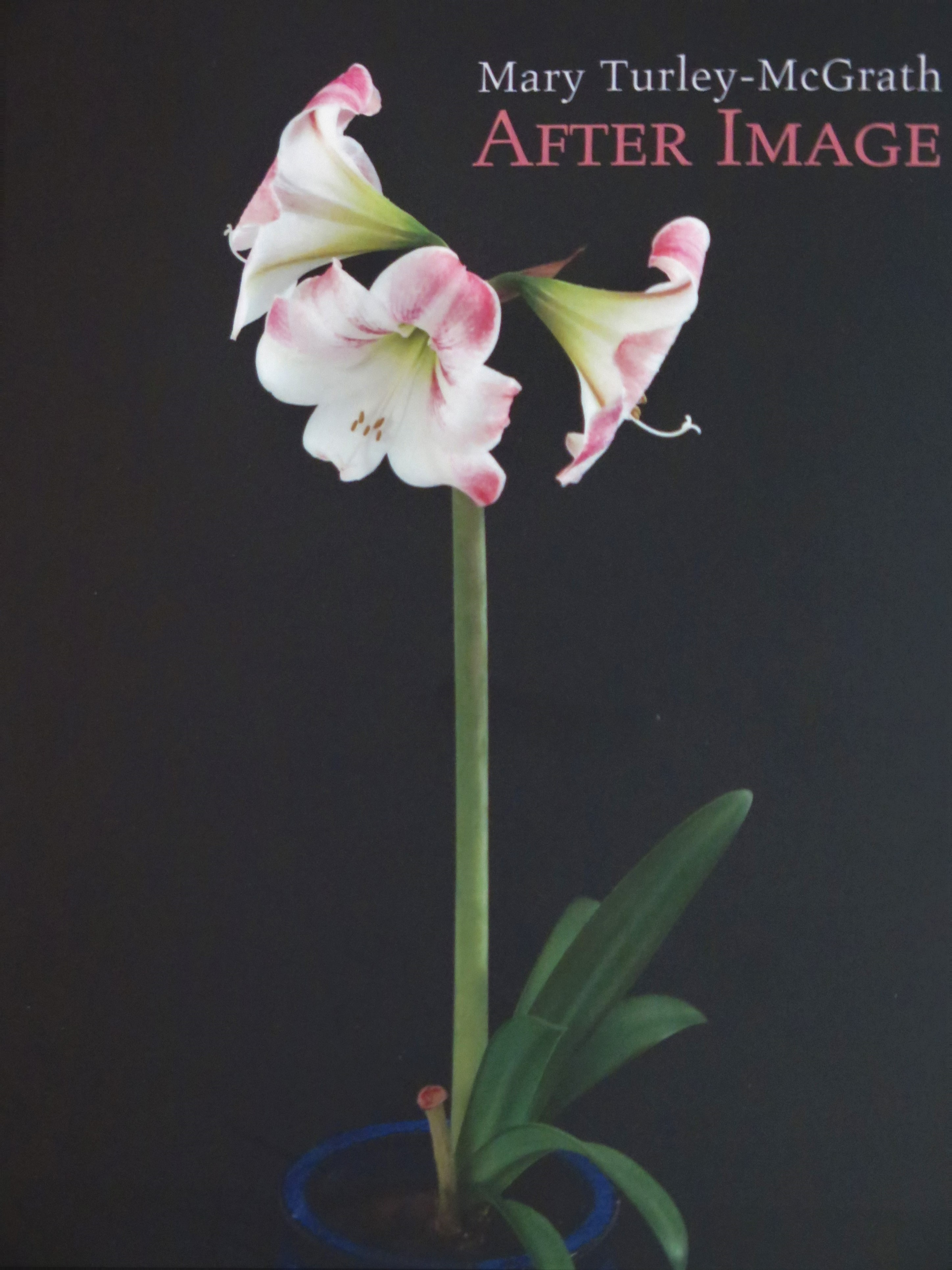 ‘After Image’ Poetry Book by Mary Turley-McGrath | CAROLE DI TOSTI